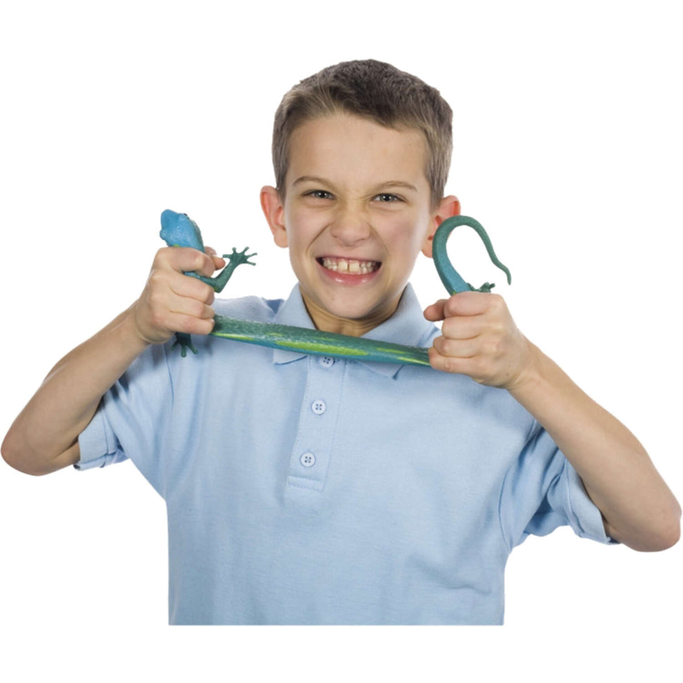 Collections – Young Explorers